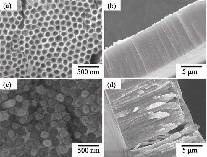 TiO 2 /CdS同轴异质结的制备及光催化性能研究