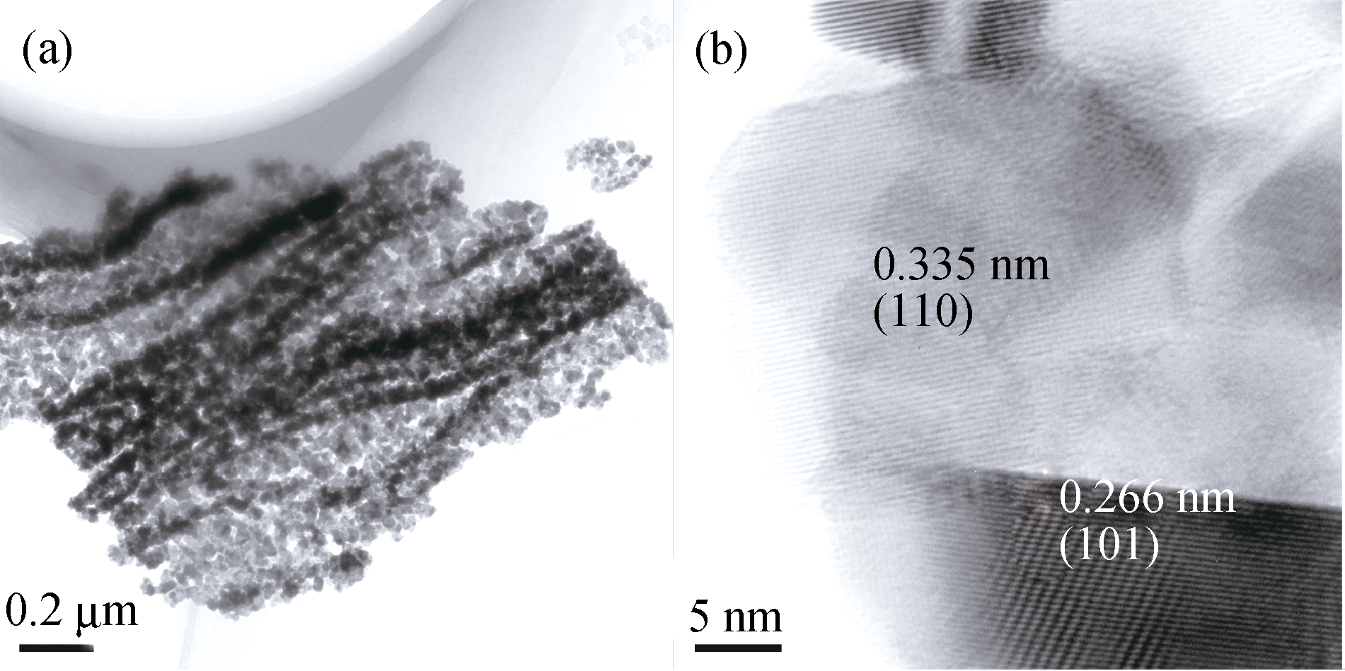 牺牲棉纤维模板法制备褶皱状SnO2负极材料及其电化学性能