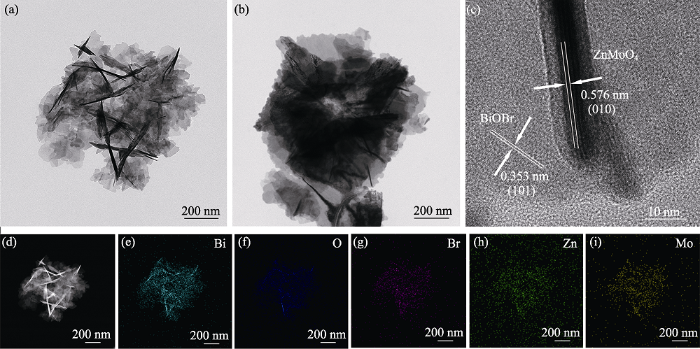 S型异质结BiOBr/ZnMoO4的构建及光催化降解性能研究