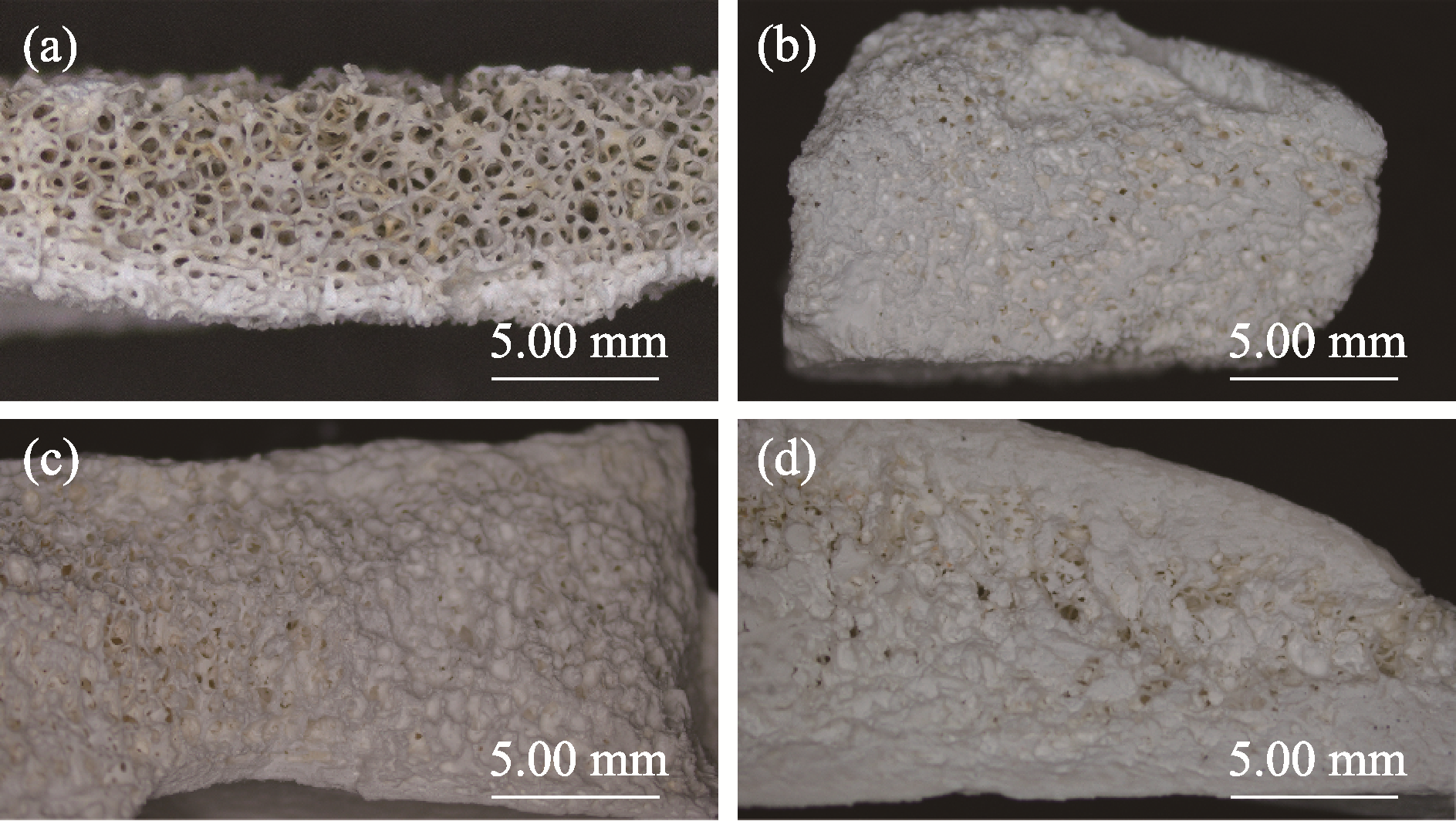 基于羟基磷灰石材料的风化脆弱骨质文物加固保护研究