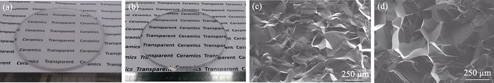透明AlON陶瓷凝胶浇注成型及其无压烧结制备