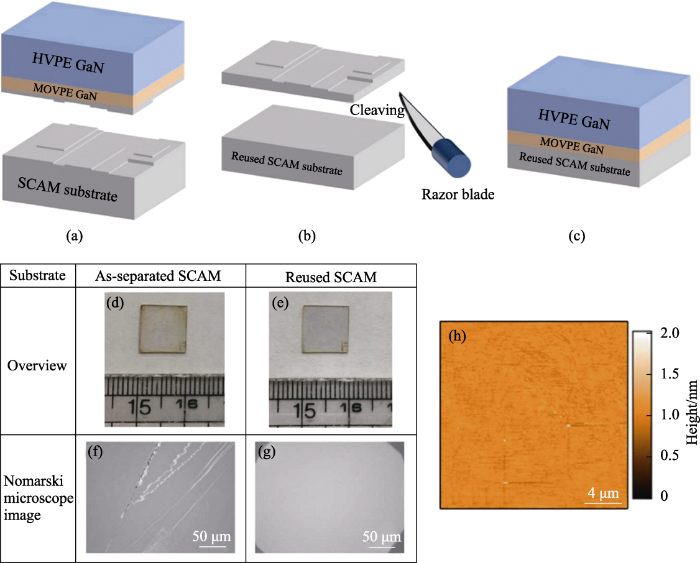 新型GaN与ZnO衬底ScAlMgO4晶体的研究进展