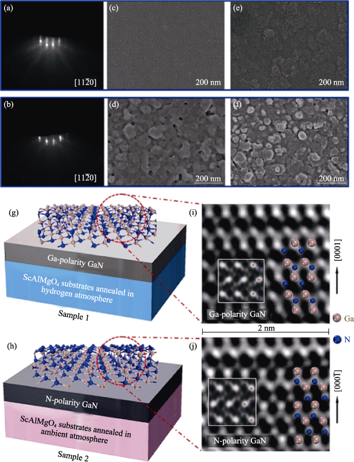 新型GaN与ZnO衬底ScAlMgO4晶体的研究进展